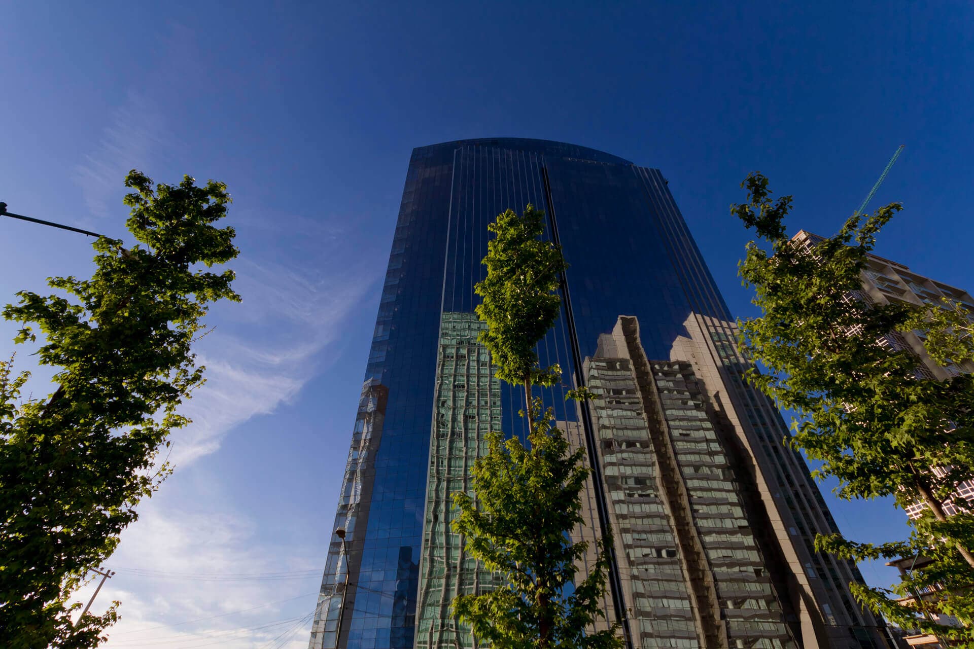 CENTURY PLAZA :: Alhel